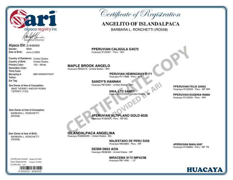 Download PDF Certificate: Angelito_of_Island_Alpaca_-_ARI_Certificate.jpeg