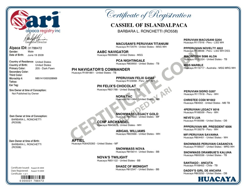 Download PDF Certificate: Cassiel_of_Island_Alpaca_-_ARI_Certificate.jpeg