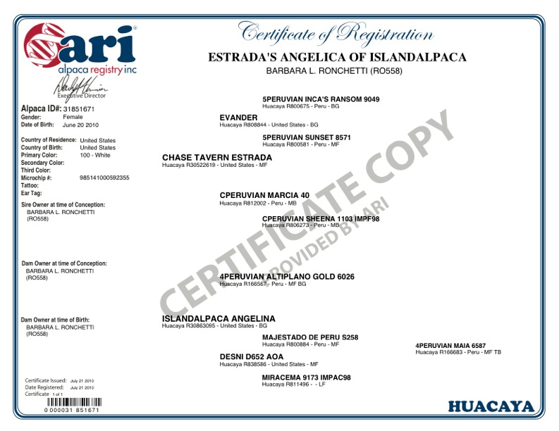 Download PDF Certificate: Estradas_Angelica_of_Island_Alpaca_-_ARI_Certificate.jpeg